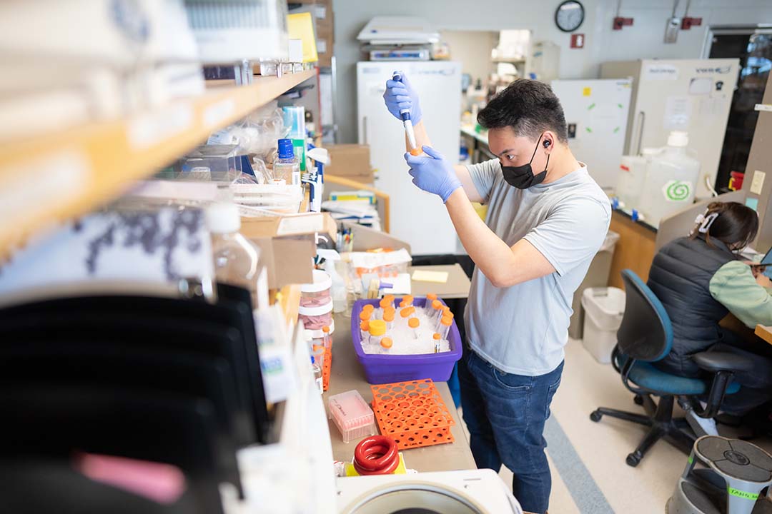 Fund: Diabetes Center Breakthrough Research and Opportunities Fund